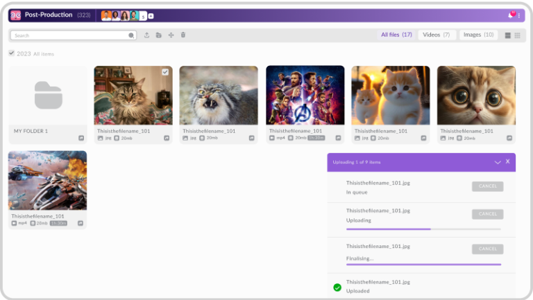 Pzaz: The Filmmaker's Secret Weapon | Get Pzazzed